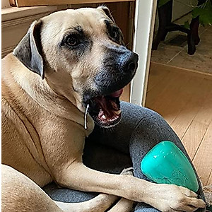 Chew King Premium Treat Dog Toy, XL, Extremely Durable Natural Rubber Toy, Pack of 2, All Breed Sizes