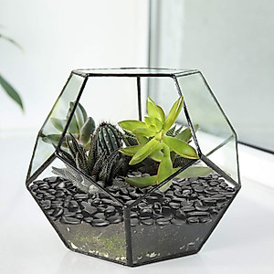 OUPENG Black Small Pebbles - Decorative Gravel Rock Plant Stones,Natural Polished Stones 3/8" Succulent Gravel,Pebbles Gravel for Bamboo Plants,Succulent,Home Decor,Landscaping,Vase Fillers.1.5lbs