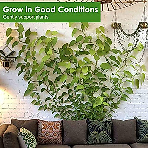 Lasyman Plant Clips-Plant Climbing Wall Fixture Clips 110PCS, Invisible Clips for Climbing Plants，Self-Adhesive Plant Wall Clips for Plant Support, Sticky Plant Fixture Clips Plant Holder for Pothos