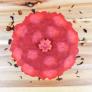 Charles Viancin - Set of 2 Geranium 4 Inch Silicone Drink Covers - Airtight Seal