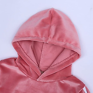 Boys Girls 2Pcs Velvet Hooded Tracksuit Toddler Kids Fleece Hoody Top + Sweatpants Sweatsuit Outfits Set