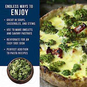 Augason Farms Freeze Dried Broccoli Florets & Stems Can, Emergency Food Supply, Everyday Meals, 34 Servings