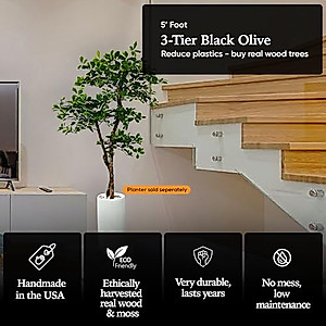 Hand-Made 5' Black Olive Leaf Artificial Tree with Ethically Sourced Real Wood Trunks | Green | Cypress & Alabaster