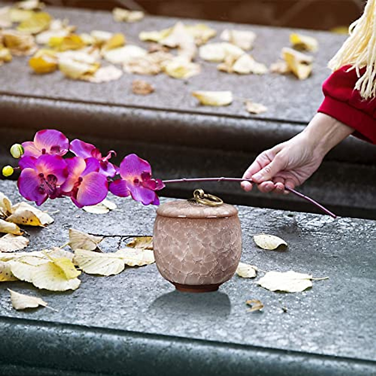 Small Urns for Human Ashes, Ceramic Memorial Keepsake Urns, Hold 5.5 Cubic Inches of Ashes, Beautiful Mini Sharing Funeral Urns with Exquisite Box (White)