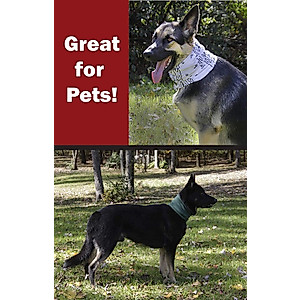 $averPak BodyForge & InsectGuard - Permethrin Treated Mosquitoes, Flies, Ticks & More Insect Repellent Tube Bandanna Neck Gaiter Headband (White Paisley)