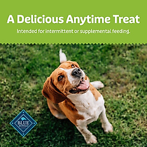 Blue Buffalo Health Bars Mini Crunchy Dog Biscuits, Oven-Baked with Natural Ingredients, Apples & Yogurt, 16-oz Bag