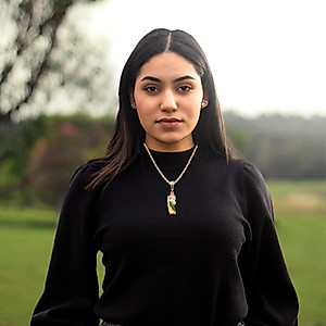 Luxe & Co. Jewelry Saint Jude Necklace 14K Gold Plated San Judas Medalla Cadena Oro Laminado San Judas Necklace (Green, 24" Inch)