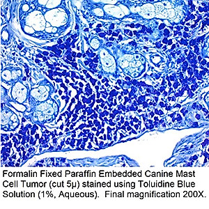 Toluidine Blue Solution (1%, Aqueous), 500ml