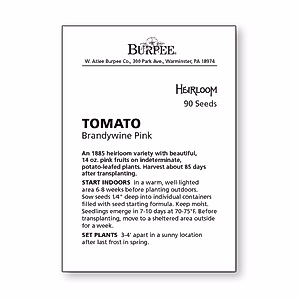 Burpee 'Brandywine', Pink Beefseak Tomato, 90 Non-GMO Seeds