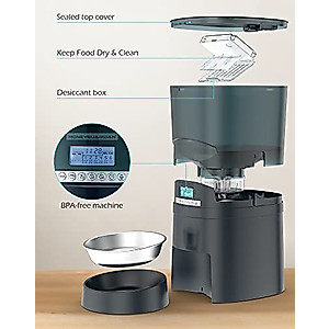 Automatic Cat Feeder, HoneyGuaridan 6.5L Pet Feeder for Cats and Dogs Dry Food Dispenser with Desiccant Bag, Stainless Steel Bowl, 6 Meals Portion Control, Dual Power Supply &10s Voice Recorder