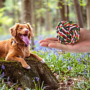 6 Pack Dog Chew Toys for Aggressive Chewers Large Breed, XL Cotton Dog Rope Balls, Indestructible Dog Toys with Tough Twisted for Large Medium Dogs, Dental Teething Ball for Puppy Small Dogs