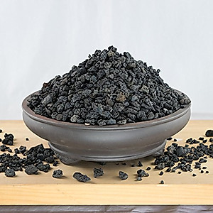 3 Gal. - 1/16" to 1/2" Horticultural Black Lava for Cactus & Succulent, Bonsai Tree Soil Mix - Inorganic Additive