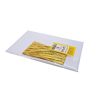 Wowfit 100 CT 6” x 10” Clear Flat Cellophane Treat Bags with 6” Gold Twist Ties, Cello Packaging for Gift Wrapping, Decorations, and Food Storage