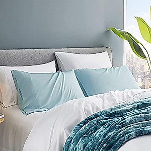 SHEETSPA Italian Finish 1000 Thread Count Hotel Quality King Size 2 Piece Pillowcases 100% Egyptian Cotton Set of 2 Pillow Cases (King 20"X40") - Solid Light Blue