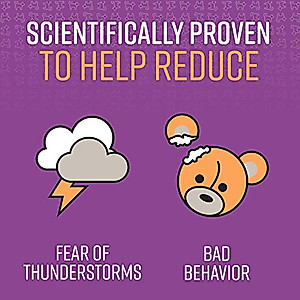 SENTRY PET Care Sentry Calming Collar for Dogs, Anxiety Reducing Pheromone Collar, Releases Pheromones for 30 Days, Helps Calm During Loud Noises and Separation, 1 Count, Purple