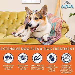 Apex Plus Flea and Tick Prevention for Dogs | Small (5-22 lbs) | 3-Month Supply | Dog Flea and Tick Treatment | 24-Hour Activation, Waterproof, 30-Day Protection
