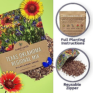 Texas Oklahoma Wildflower Seeds Mixture - Bulk 1 Ounce Packet - Over 15,000 Native Seeds - Open Pollinated and Non GMO