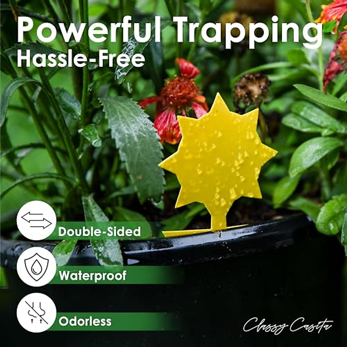 Classy Casita Yellow Sticky Traps - Fungus Gnat Trap, Houseplant Fly Control, Indoor and Outdoor Plant Insect Stakes, Potted Plants Mosquito Pest Bugs Catcher, Gifts for Plant Lovers - 24-Pack