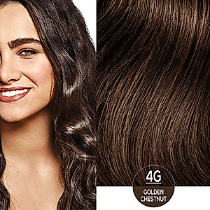 Naturtint Hair Color 4G Golden Chestnut 1 Pack