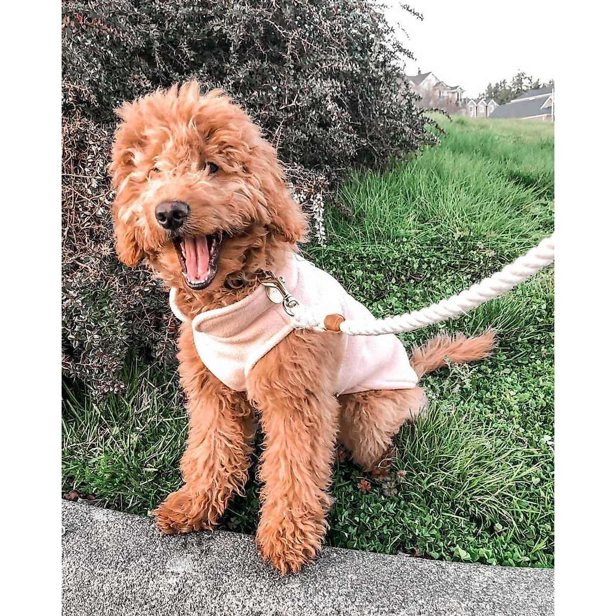 Gooby Fleece Vest Dog Sweater - Pink, Small - Warm Pullover Fleece Dog Jacket with O-Ring Leash - Winter Small Dog Sweater Coat - Cold Weather Dog Clothes for Small Dogs Boy or Girl