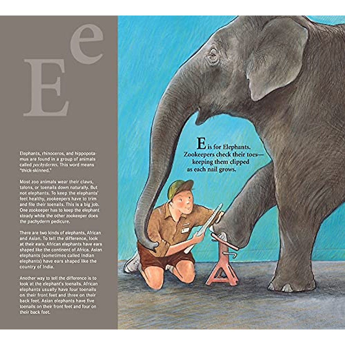 Z Is for Zookeeper: A Zoo Alphabet (Science Alphabet)
