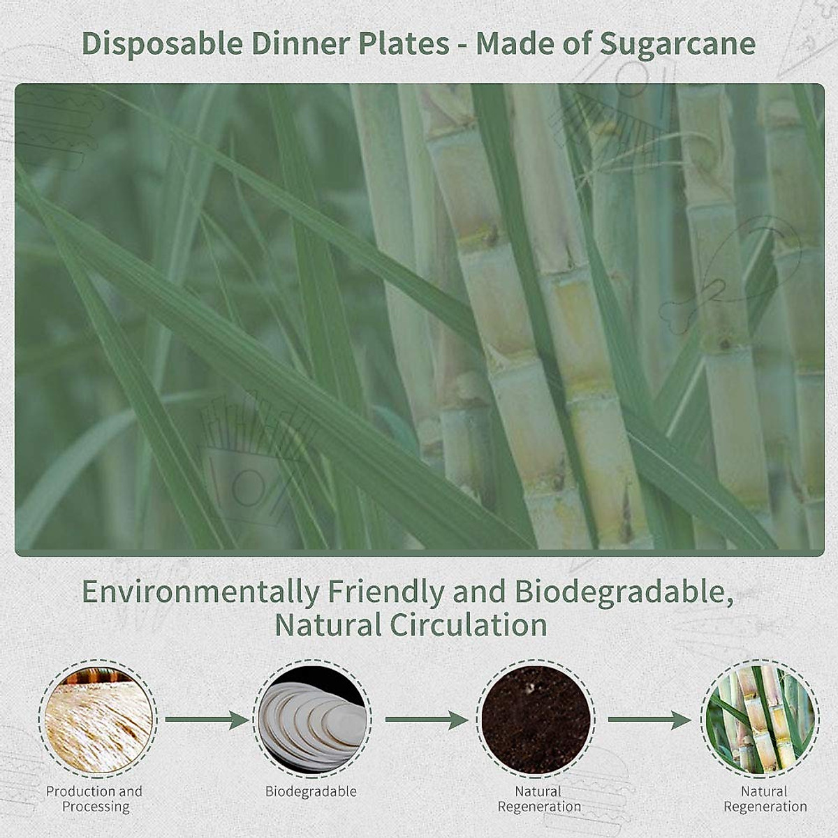 Chinette Paper Plates Dinner (7 inch 50 Pcs) + Disposable Plates (9 inch 50 Pcs), Dessert Plates Disposable, Compostable Biodegradable Dinner Plates, Set of 100, Suitable for Restaurant/Fast Food Shop