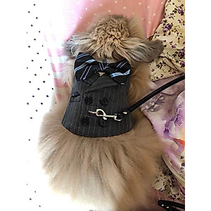 Rabbit Clothes Formal Suit Harness with Striped Tie Adjustable Bunny Vest Halloween Cosplay Wedding Party Holiday Daily Wear Walking Harness Clothes for Bunny Kitten Puppy Chinchilla guinea pig (S)