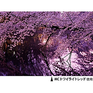 Kenko 52mm Twilight Red Multi-Coated Camera Lens Filters