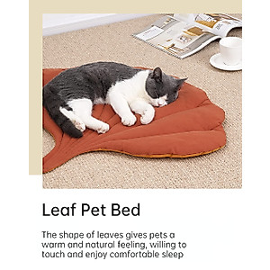 SSDHUA Cat Mattress Leaf Shape Cat Nest Cat and Dog Double-Sided Available Floor Mat Cover Pad Warm and Comfortable Cartoon Cat Bed Indoor Warm Accessories (Leaves)