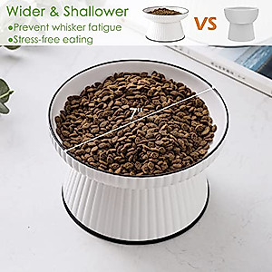Large Ceramic Elevated Cat Food Bowl,Whisker Friendly Raised Cat Water Bowl,Stress Free Food Feeding Dish,Anti Whisker Fatigue Bowl with Anti-Slip Strip for Cats & Small Dogs,Non Tipping