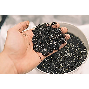 Organic Perlite Bliss - Horticultural Soil Amendment for Healthy Plants and Garden Soil! All Natural Perlite Improves Nutrient Absorption, Root Growth, and Water Drainage! (8 Quarts)