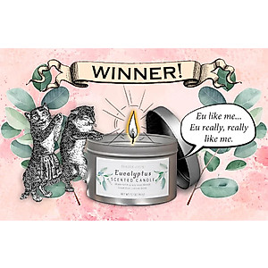 Trader Joe's Eucalyptus Scented Soy Candle (2 Pack)