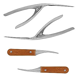 uvbws 2 Sets Shrimp Peeler and Deveiner Tool, 2Pcs Stainless Steel Shrimp Peeler and 2Pcs Shrimp Cleaner Knife for Shrimp Lovers, Home, Restaurants, Seafood Party