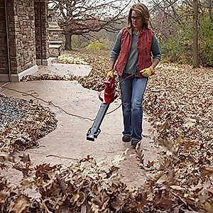 Toro 51621 UltraPlus Leaf Blower Vacuum, Variable-Speed (up to 250 mph) with Metal Impeller, 12 amp,Red