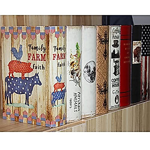 Decorative Book Boxes, Faux Wood with Magnetic cover Storage for Hidden Jewelry, Money, and Cash (Lunar Eclipse)