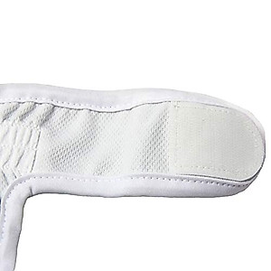 PETTING IS CARING Dog Diapers Washable & Reusable Female and Male Dog Diapers Materials Durable Machine Washable Solution for Pet Incontinence and Long Travels - 3 Pack Set