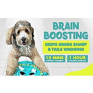 18” Dragon Dog Sniffing Mat - Easy to Clean Fleece Snuffle Mat for Dogs Small - Interactive Dog Toys for Bonding & Fun - Durable Snuffle Mat for Dogs Large Breed - Round Play Mat for Brain Exercise