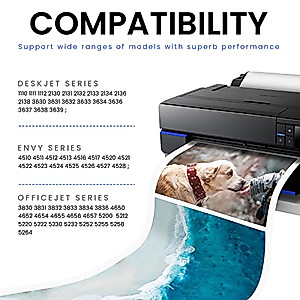 63XL Black and Tri-Color Ink Cartridges (2 Pack), Replacement for HP 63XL 63 XL Ink | Works with Envy 4520 3634 OfficeJet 3830 5252 5255 4650 5258 DeskJet 3630 1112 3632 3636 Printers (Black, Color)