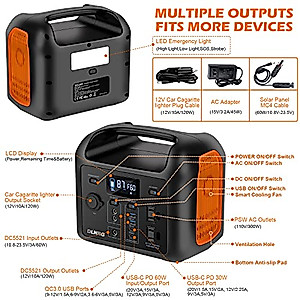 DLNRG R300 299Wh Portable Power Station, 300W Pure Sine Wave Solar Generator 93437mAh Backup LiFePO4 Battery 110V 2 AC Outlets,PD 60W USB-C in/out,Dual 12V/120W Ports outdoor generator for Camping,RV,CPAP Orange