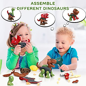 TOY Life 4-Pack Take Apart Dinosaur STEM Toys for Ages 3-12, Educational Building & Construction Set, Toddler Boys Gift, Preschool Learning Dinosaur Games with Tools