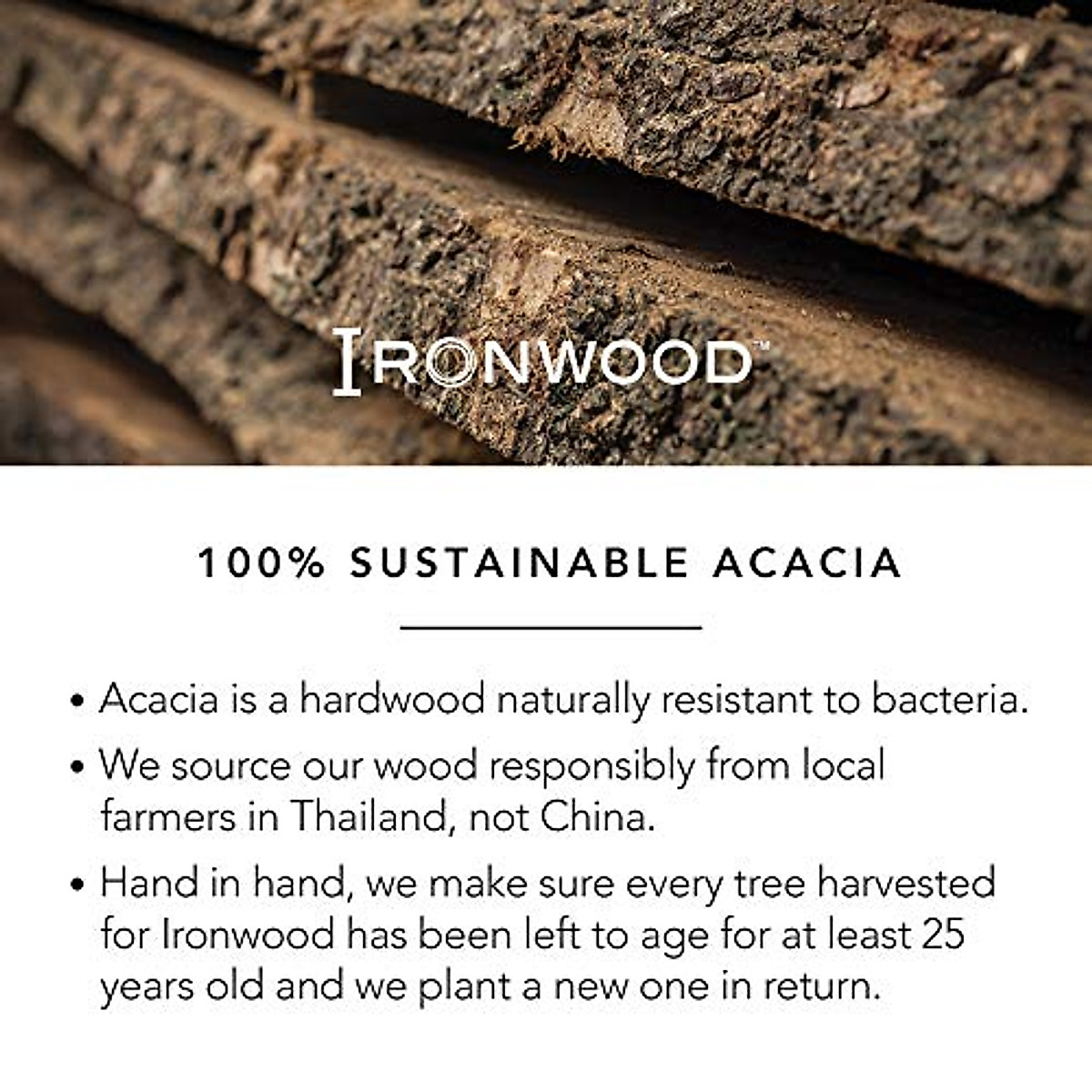 Ironwood Lucca Mini Pizza Peel, One Size, Acacia Wood