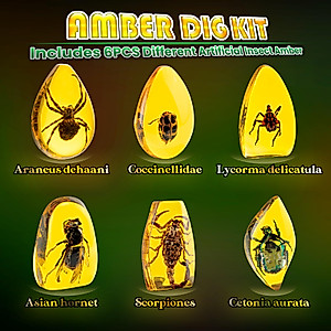 Amber Dig Kit-Artificial Insect Resin, Excavate 6 Insects Specimens, STEM Geographic Educational Bugs Toys, Excavation Toys Science Kit for Fun Bugs Party Favors, Bug Collection Kit for Kids Age 6+