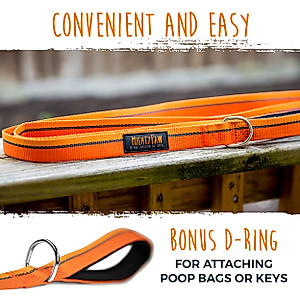 Mighty Paw Dog Leash - Soft Padded Handle - D-Ring and Pet Leash Clip - Carabiner Clip - Weatherproof with Reflective Stitching - 6 Foot Long Dog Leash for All Dog Breeds - Dog Walking Leash (Orange)