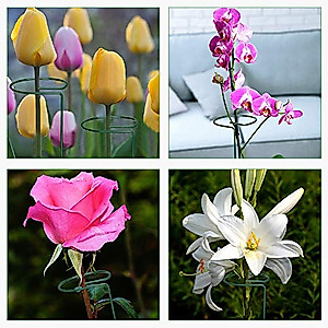 GROWNEER 12 Packs 36 Inches Garden Flower Support Plant Support Stakes, with 15 Pcs Plant Labels, Single Plant Stem Flower Support for Flowers, Orchid, Peony, Lily, Rose
