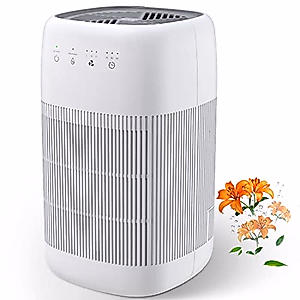 Air Purifier and Dehumidifier in 1, Afloia Q10 True HEPA Air Purifier with H13 HEPA Filter, Small Dehumidifier Combined with Air Cleaner, Remove Pet Odors Dust Smoke for Home, Bedroom, Bathroom
