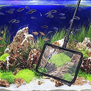 POPETPOP Extendable Fishing Net Plastic Pole Handle Telescopic Landing Net Tuck Net for Fish Tank Lakes Ponds (Size L)