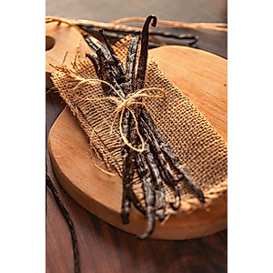 10 Organic Madagascar Vanilla Beans Whole Grade A Vanilla Pods for Vanilla Extract and Baking