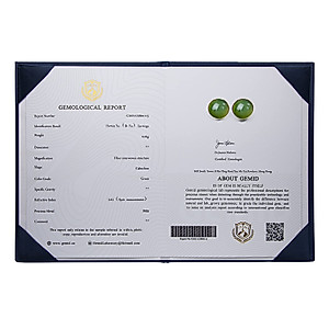 DENGGUANG Jade Stud Earrings for Women, Natural Real Green Jade 14k Yellow Gold Plated Sterling Silver Hypoallergenic Earrings, Jewelry Gifts for Wife Mom (Size:10mm)