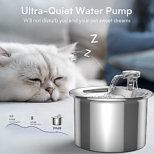 MEGADOO Cat Water Fountain Stainless Steel, 2.0L/67oz Pet Drinking Fountains, Automatic Cat Fountain with Quiet Pump, Dishwasher Safe Design, Suitable for Multiple Pets
