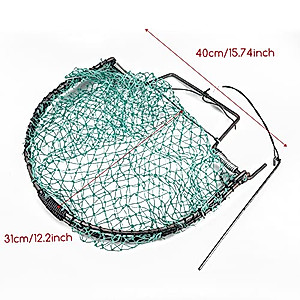 16" Pigeon Bird Trap,Humane Live Bird Traps for Small Birds Pigeons Sparrow Quail Hunting Cage Traps